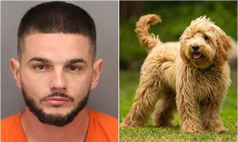 Achile Anne Sefa Hajia On Linkedin Man Arrested After Having Public