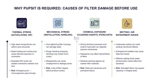 Pre Use Post Sterilisation Integrity Testing Pupsit In Annex 1 Gmp