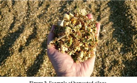 Figure 2 From Maize Silage Kernel Fragment Estimation Using Deep Learning Based Object