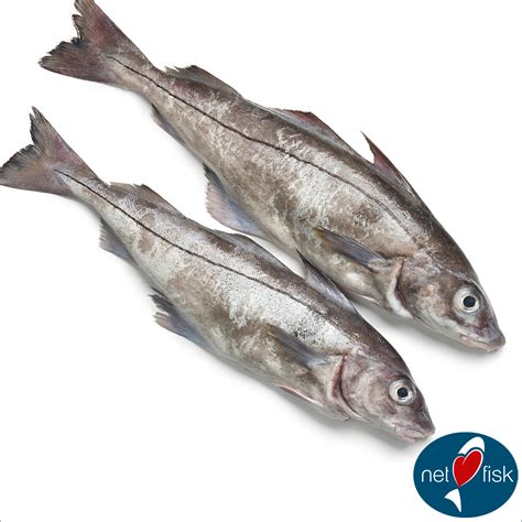 Køb Kuller Hos Netfisk Et Hav Af Fiskelækkerier