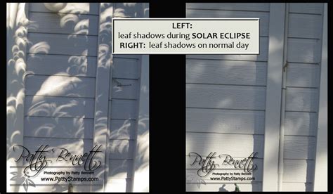 Solar Eclipse 2012 Fabulous Shadows