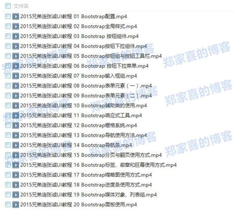 兄弟连UI设计HTML CSS JS框架Bootstrap视频教程手机端响应式布局 好易之