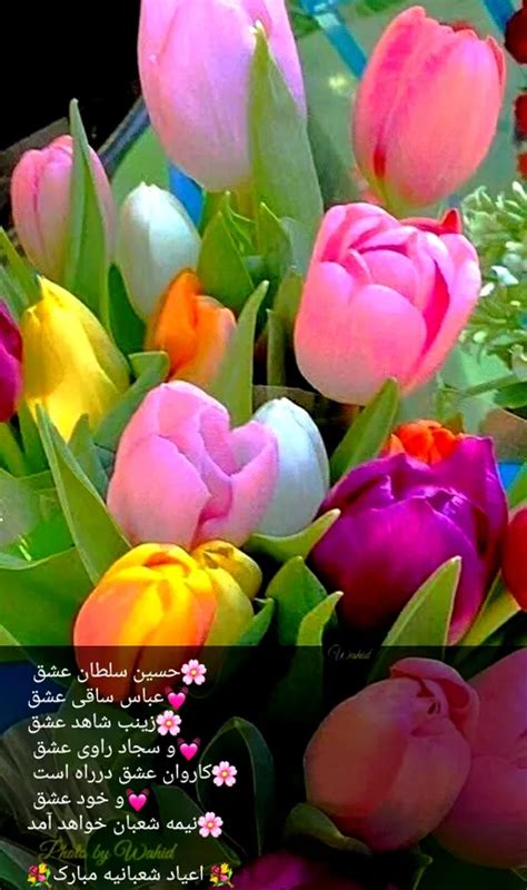 میلاد سه نور مبارک میلاد امام حسین ع مبارک🌸🎊🌸 عکس ویسگون