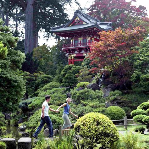 75 Hagiwara Tea Garden Dr San Francisco Ca 94118 Garden Likes