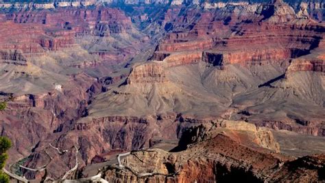 Tree Leaf Guide Lutews