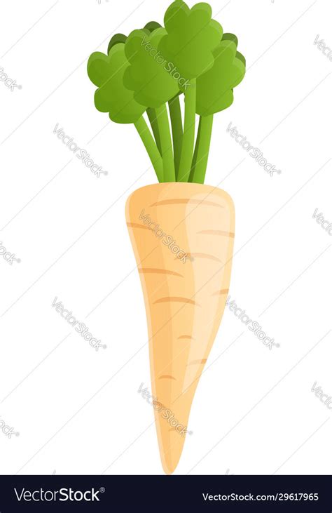 Vitamin Parsnip Icon Cartoon Style Royalty Free Vector Image