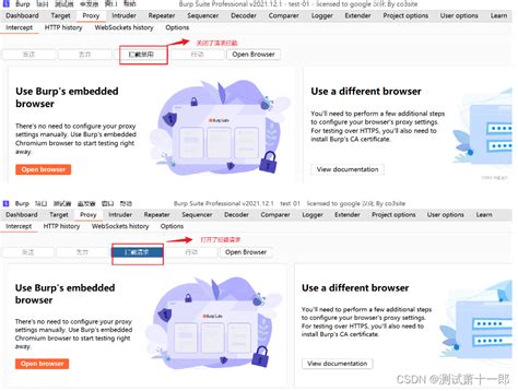 渗透测试实战 Burpsuite 使用入门如何使用burpsuite进行命令注入漏洞测试 Csdn博客