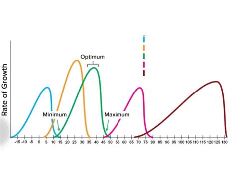 Bacteria Temperature Preferences Quiz