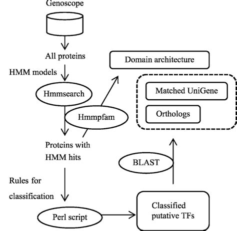 Pipeline For The Identification Classification And Annotation Of Download Scientific Diagram