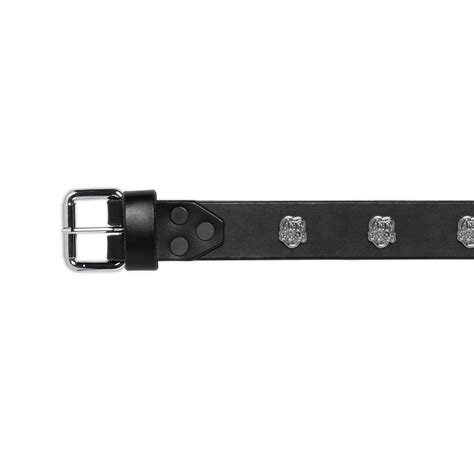 Finesse Pup Stud Belt Ternational