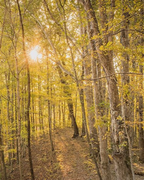 Victoria Devaney Posted On Linkedin