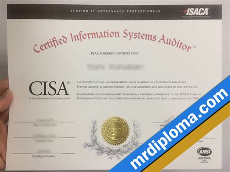 Cisa Custom Printable Certificate Printable Diploma