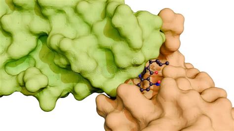 A 3d Rendering Of A Molecular Glue Stock Illustration Illustration Of Close Discovery 371376897