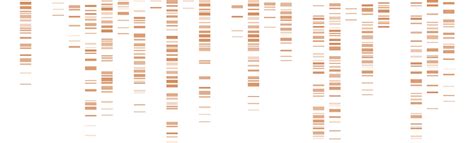 Resources Mtuitive Inc