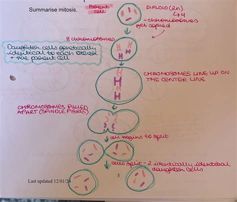 Bio Inheritance And Evolution Flashcards Quizlet
