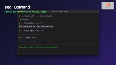 Emacs Command Linux Complete Guide To The Powerful Text Editor Codelucky