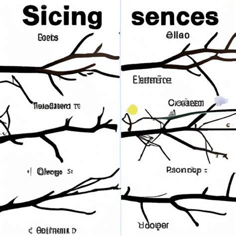 Exploring The 10 Branches Of Science The Enlightened Mindset