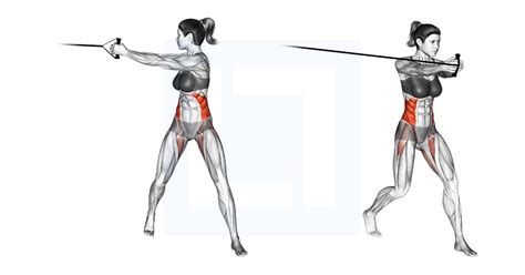 Lying Crossover Stretch Guide Benefits And Form