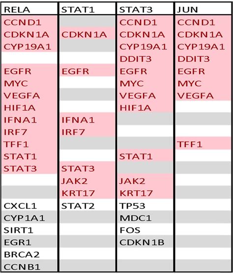 Brca1 Target Genes Common Between Rela Stat1 Stat3 And Jun Regulated