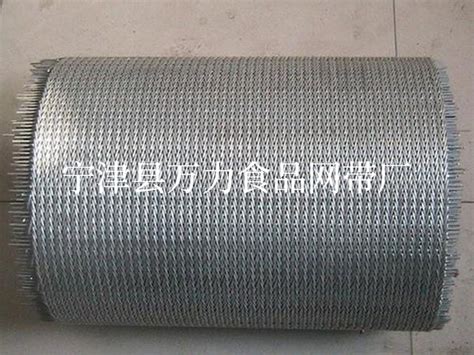 人字形网带 宁津县万力食品网带厂