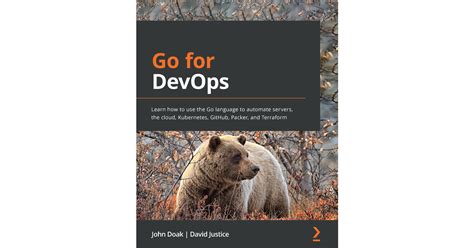 go for devops [book]