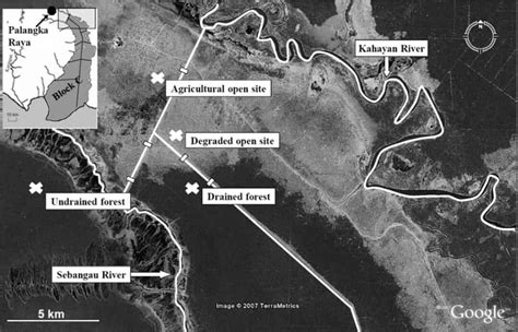 Physical And Chemical Properties Of Tropical Peat Under Stabilised Land