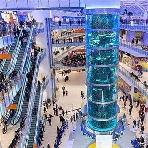 Christopher Jimenez Cabezas Youtube