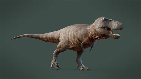 Most Accurate T Rex Art How Dinosaurs Are Brought Back To Life