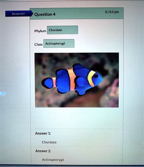 Solved 005 Pts Incorrec Question 4 Phylum Chordate Class