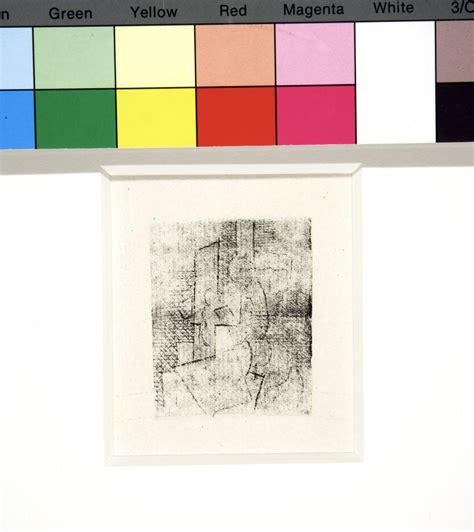 Picasso Printmaker Qcc Art Gallery