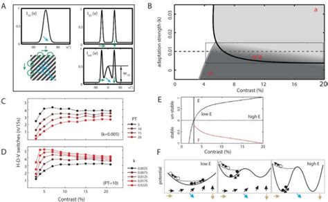 Dynamic Neural Fields Model Structure And Characteristics A 1d Download Scientific Diagram