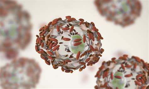 Can Bacterial Vaginosis Cause Infertility