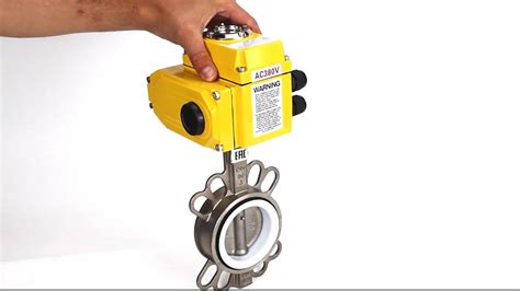 Appearance Of Elephant Wbv3232p 2w Fb Dn40 300 Pn16 Butterfly Valves