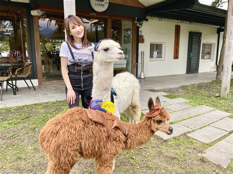 萌獸教主王宥忻為狒狒開砲六福村！批危機處理有問題 呼籲拍逃脫紀錄片 娛樂星聞