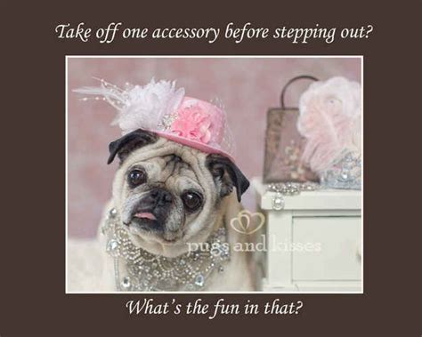 30 Lessons That Pug Beauty Gretta Rose Taught Us