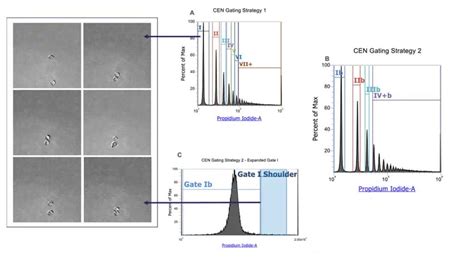 Attune Cytpix Flow Cytometer Integrated Gulf Biosystems