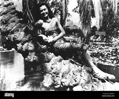 Elephant Stampede Aka Bomba And The Elephant Stampede Donna Martell