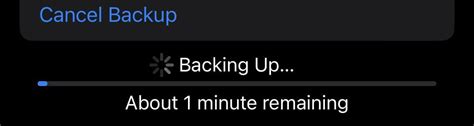 Backup Has Been Like This For 10 Minutes Also I Have Automatic Backups