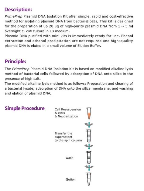 Plasmid Dna Isolation Kit Himedia At Leonel Muncy Blog