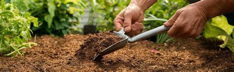 Pure And Organic Super Vermicompost For All Types Of Plants 5kg