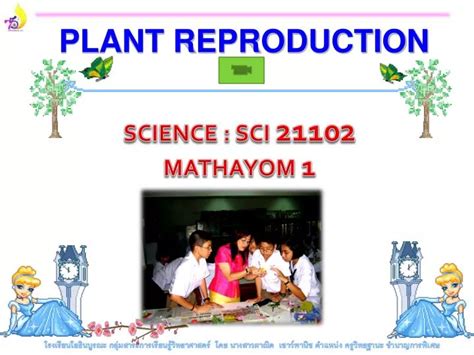 Ppt Plant Reproduction Powerpoint Presentation Free Download Id 2085925