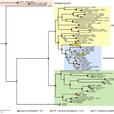 Bayesian Phylogeny Of Selected Metazoan Porins Characterized By The Download Scientific Diagram