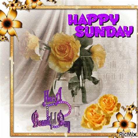 Happy Sunday  Happy Sunday Discover And Share S