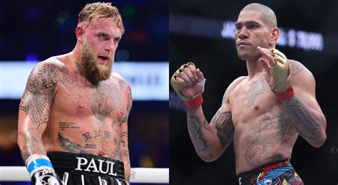 Jake Paul Claims To Dominate Ufc Champion Alex Pereira In Boxing