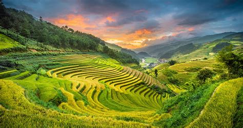 Mù Cang Chải Khúc Giao Mùa Rực Rỡ