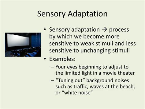 Sensory Adaptation