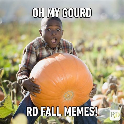 Welcome Fall Memes 40 Funny Memes That Capture The Pure Joy Of Falls