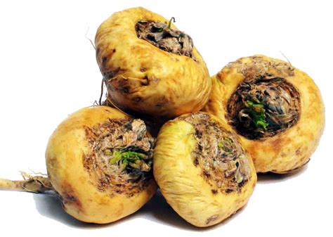 Maca Mandala Naturals