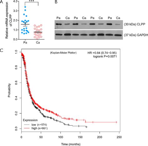 Figure 1 From Caseinolytic Protease P Clpp Activated By Onc201