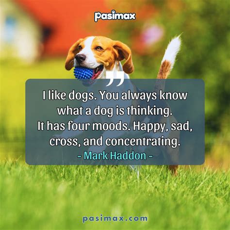 59 Funny Dog Quotes And Captions For Your Pawsome Pictures Pasimax
